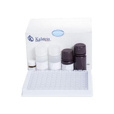 Clinical Chemical Reagents: A Scientific Breakthrough for High ...